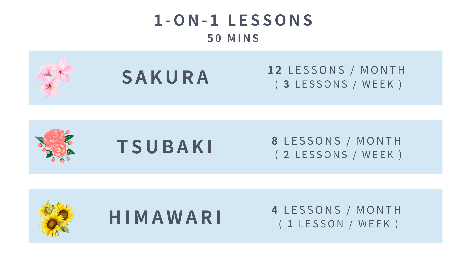 Japanese Lesson Courses - Japanese Studies Tsumoru